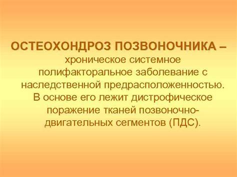 Анатомия позвоночника Анатомия позвонков Суставы и