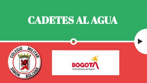 Curiosidades Del Agua