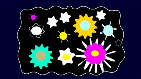 Flowers Frame Rotation Free Stock Video Pixabay