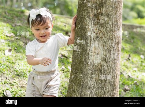 Beautiful Little Brunette Girl Playing Around A Large Tree