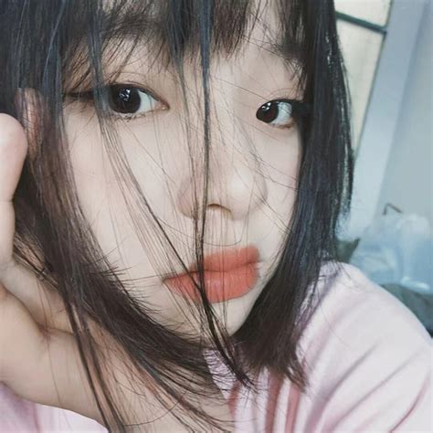 春色黄淮的夏天 站酷zcool