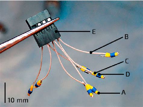 Figure 2 From Deep Learning Analysis Of Intracranial Eeg For Recognizing Drug Effects And