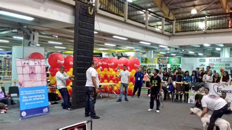 Protección Animal Bogotá on Twitter Buenos días Este fin de semana estamos en ExpoPet