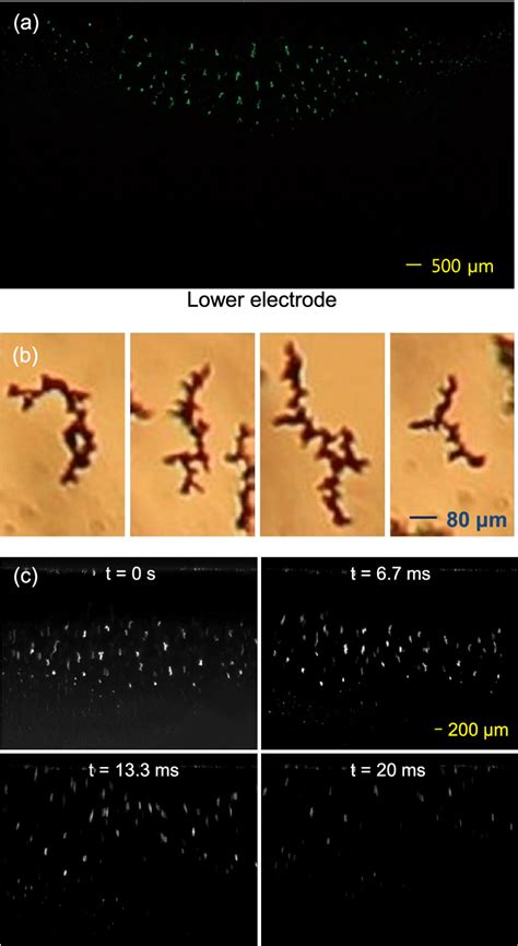 Alignment And Force Balance Of Nonspherical Water Ice Particles In A Download Scientific
