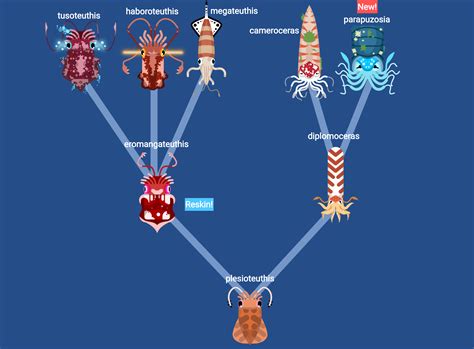 Evolutionary Tree Of Prehistoric Squid Rdeeeepio Evolutionary Tree Of Prehistoric Squid Rdeeeepio