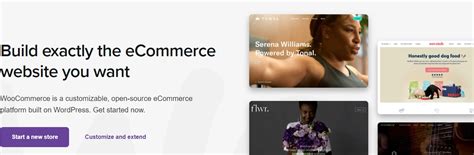 Top 10 Best Ecommerce Platforms 2023 Review Dropispy