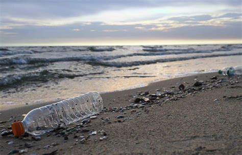 15 Shocking Facts About Pollution In The Oceans That Will Scare You
