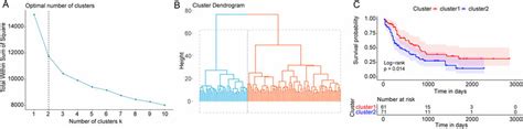 The Aml Patients Cluster Results Based On The Degs A The Elbow