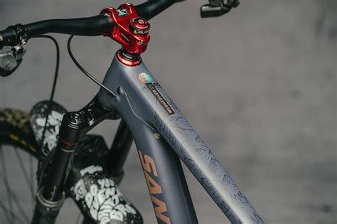 DYEDbro Frame Protection EWS MOUNTAINS Black Draco Bikes