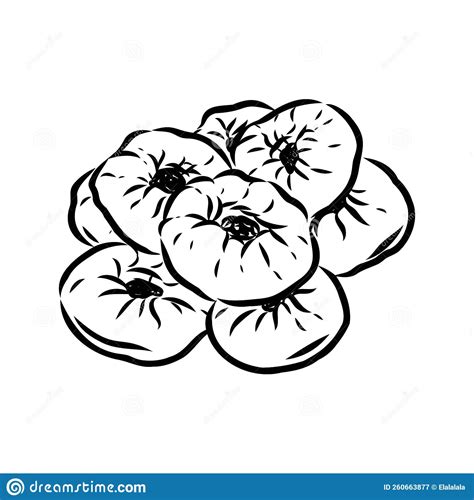 Indian Asian Food Delicious Samsa Vector Hand Drawn Illustration