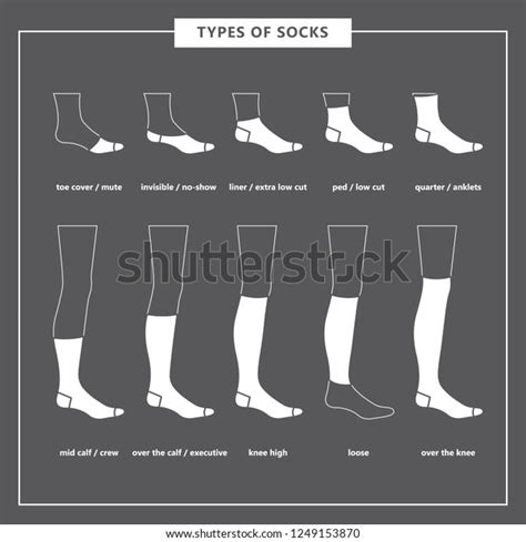 Types Socks Set No Show Low Cut Extra Stock Vector Royalty Free