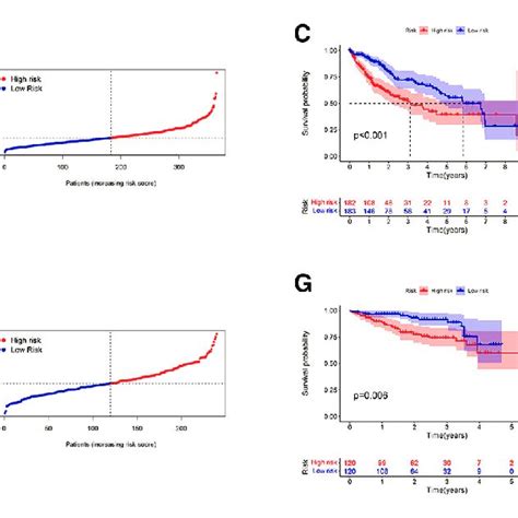 Prognostic Evaluation And Validation Based On Irg Risk Score In