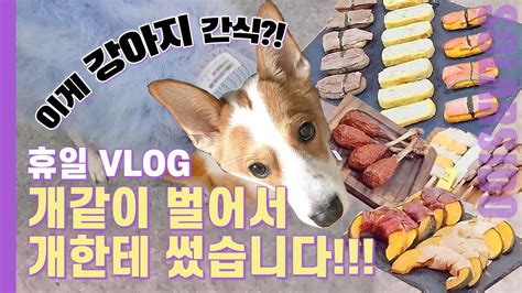 휴일 Vlogㅣ초호화 강아지음식최고가 강아지옷펫페어강아지용품 Youtube