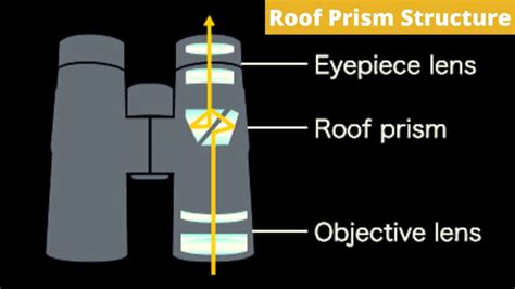 Porro Prism Vs Roof Prism Which One Is Better