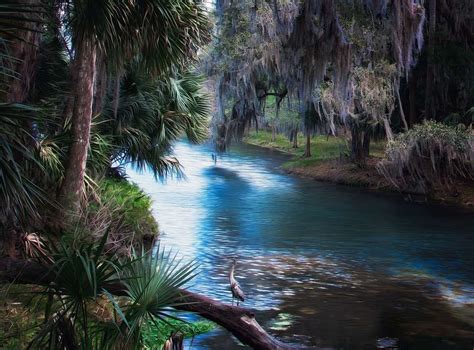 How To File And Pay Sales Tax In Florida Tax Valet