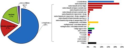 Subcellular Localization Of Murine Colon Proteome Venn Diagram Left