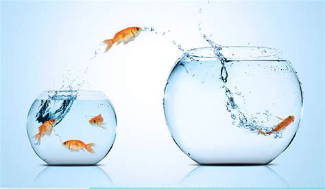 Data Integration And Analytics Platform