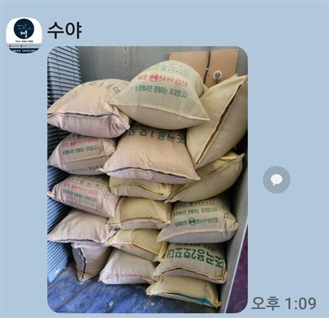 고소애 분변토입니다 당근 중고거래