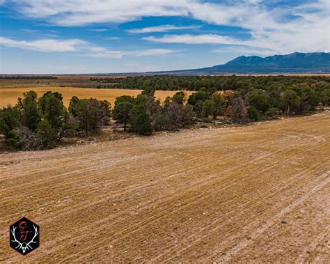 Utah Properties St James Sporting Properties