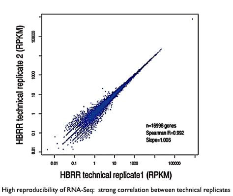 Rna Seq Promotion Bgi Americas