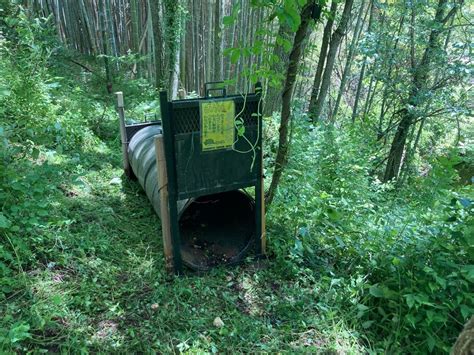 クマ出没 注意！ 白鳥まさのりのブログ