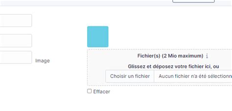 Lost Pics With 1005 Update · Issue 13196 · Glpi Projectglpi · Github