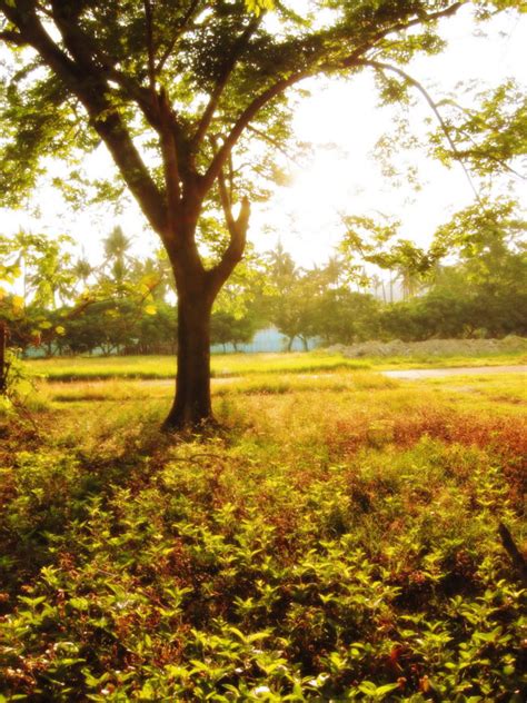 Unbelievable Superstitions Across The Globe That Are Believed To Bring Good Luck