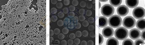 Carboxyl Magnetic Beads Eprui Biotech