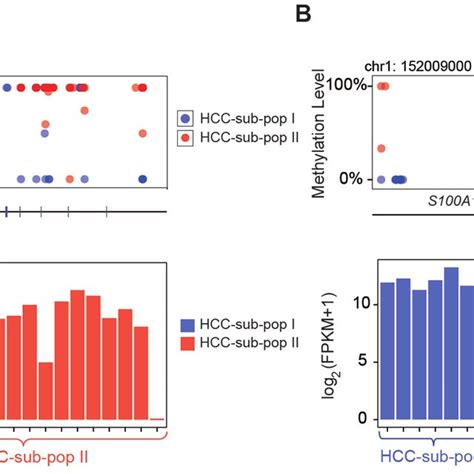 Differentially Methylated Regions On Gene Promoter And Gene Body