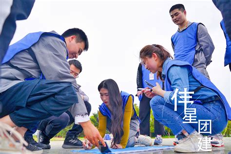 合肥拓展公司合肥拓展训练公司 搜狐大视野 搜狐新闻