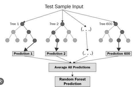 Random Forest. Random Forest is an ensemble algorithm… | by Chinchu | May, 2024 | Medium