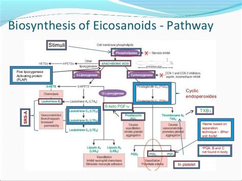 Eicosanoids