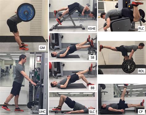 Eccentric Hamstring Exercises Pdf Eoua Blog