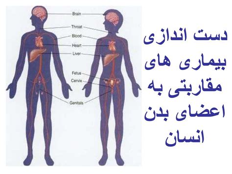 Sexually Transmitted Diseases Ppt Download