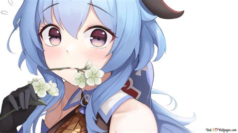 Cute Girl Ganyu Hold Flowers Through Her Mouth Genshin Impact K Wallpaper Download