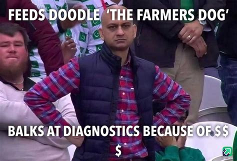 These Fucking Guys Meme On Imgur