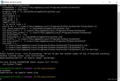 Msys2安装与配置 在windows上使用linux工具链g和包管理工具pacman C开发 Toy模板网
