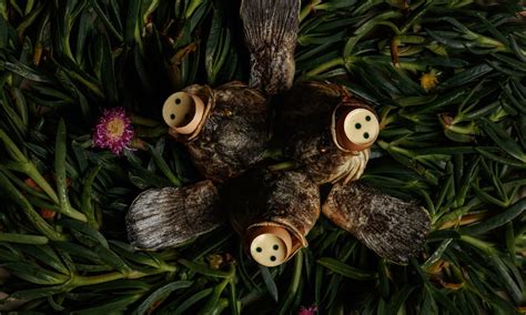 Restaurant Botanic Adelaide Is A 4 Hour Dining Experience