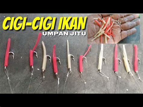 Cara Bikin Umpan IKAN Terbuat Dari Karet Pentil Buat Cigi Cigi How To