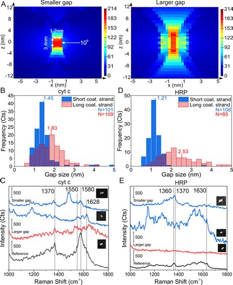 Single Molecule Sers Measurements Of Cyt C And Hrp A Field