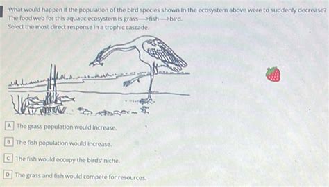 What Would Happen If The Population Of The Bird Species Shown In The