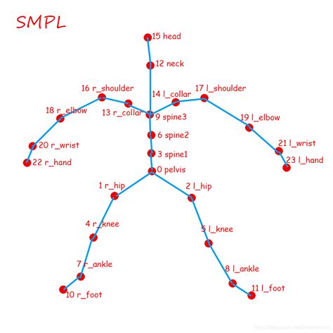 人体骨架关节 Mpii Human36m Ntu Smplmntu Csdn博客