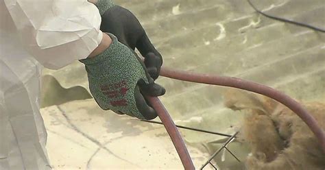 양주 가스 폭발사고 현장서 가스관 잘린 흔적 발견