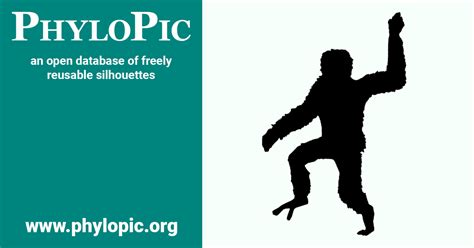 Ardipithecus Ramidus Phylopic