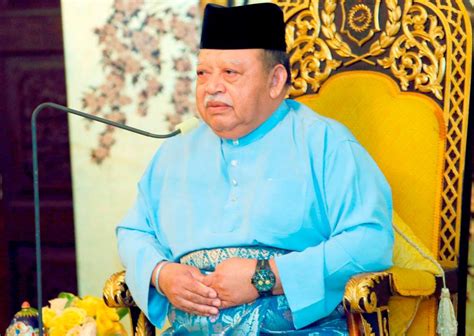 Perlis Raja Dont Add Fuel To The Fire