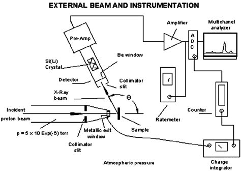 Experimental Array Download Scientific Diagram