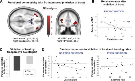 Functional Connectivity Between The Caudate Nucleus And Vlpfc