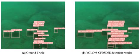 An Underwater Dense Small Object Detection Model Based On Yolov5 Cfdsdse