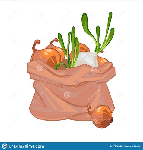 Paper Bag Full Of Onions Stock Vector Illustration Of Basket 272386409