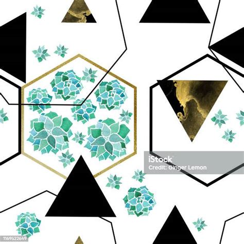 흰색 배경에 수채화 Echeveria 다육 식물과 황금과 검은 색 육각형과 삼각형 기하학적 미니멀리스트 현대 원활한 패턴 0명에 대한 스톡 벡터 아트 및 기타 이미지